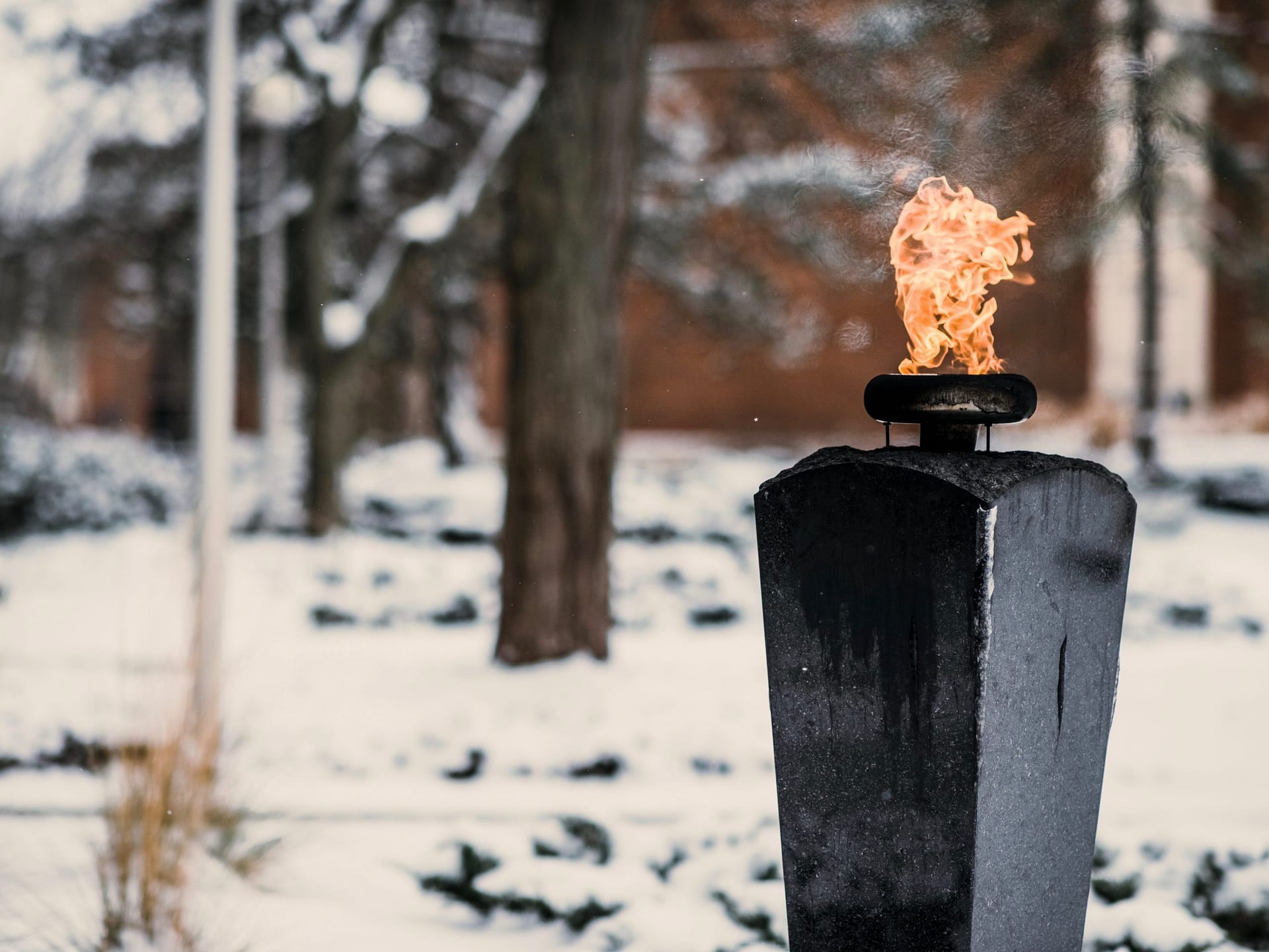 Employment: Faculty & Staff - Anderson University